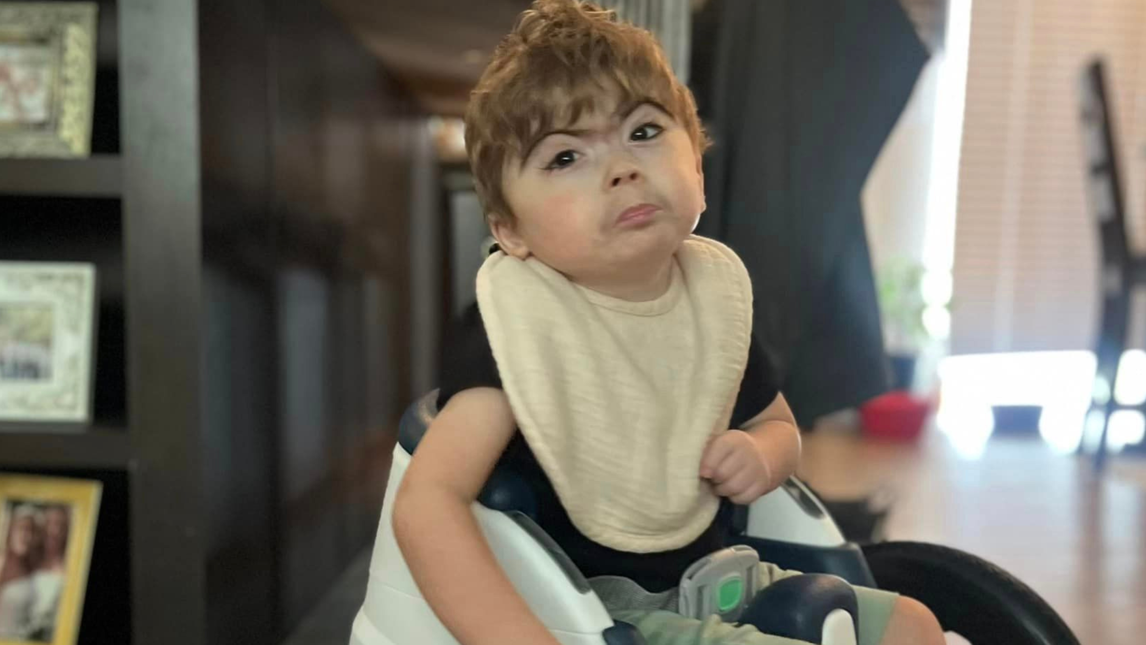 Meet Gunner | CdLS Foundation